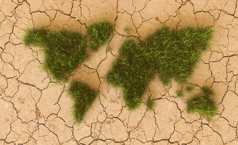 2025 Environmental Calendar: sustainability all year round