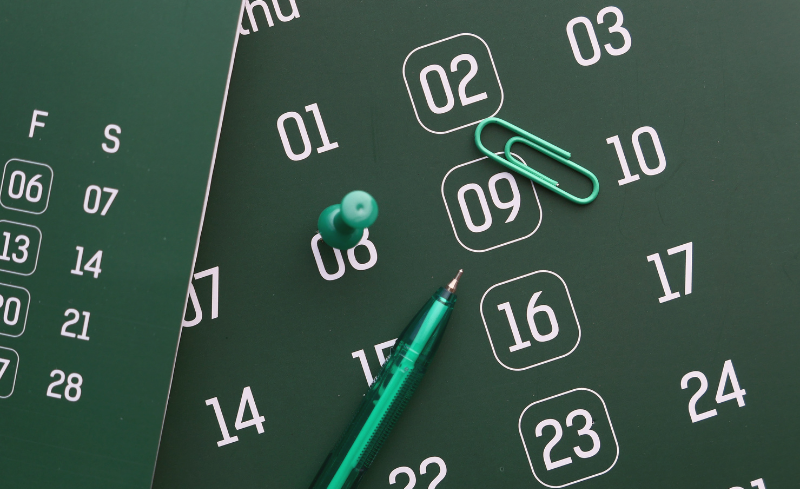 2025 Environmental Calendar: sustainability all year round