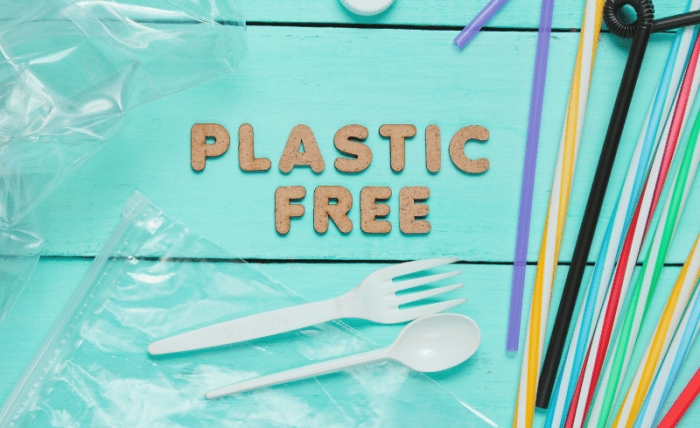 How to reduce plastic bags: why you should stop using them